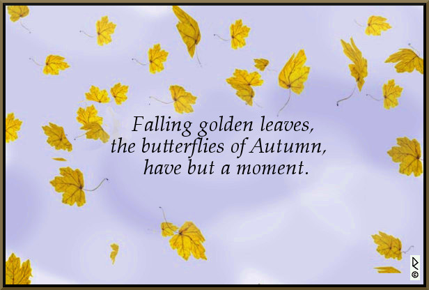 Haiku Written & Illustrated by American Poet/Artist David Corwin